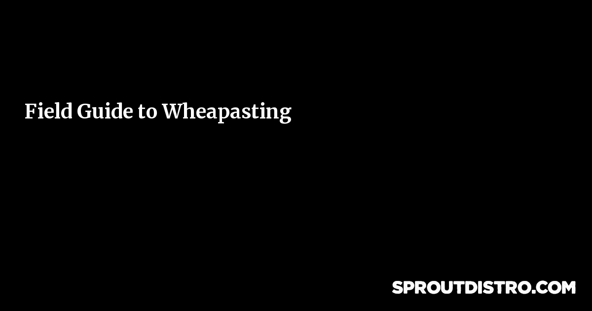 Field Guide to Wheapasting Zine | Sprout Distro