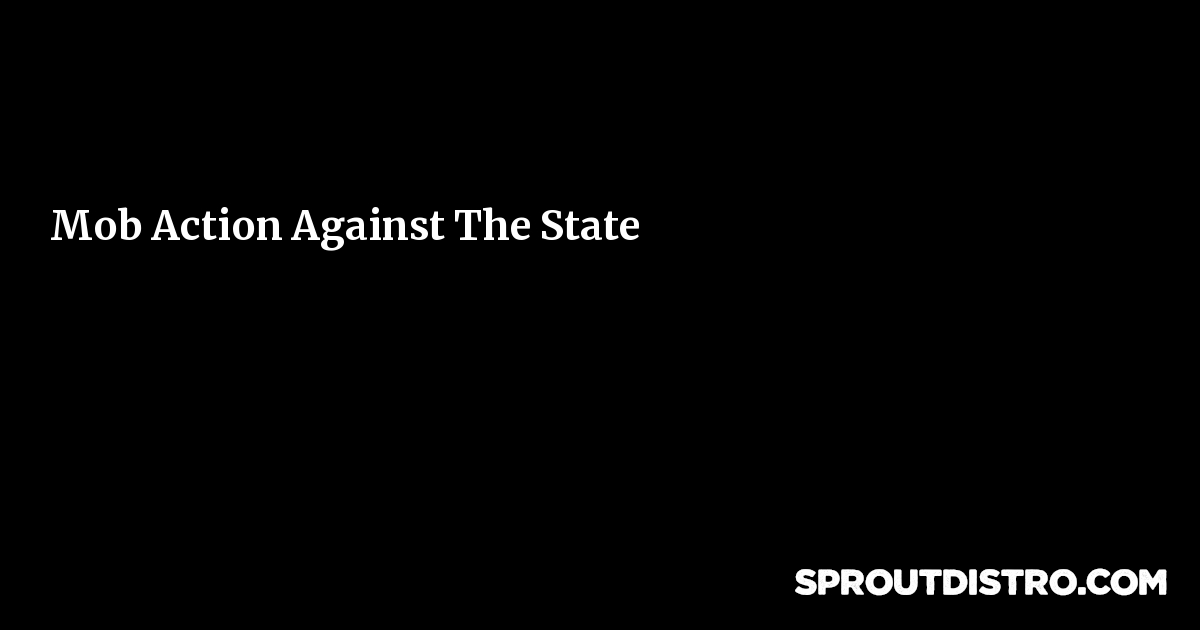 Mob Action Against The State Zine | Sprout Distro