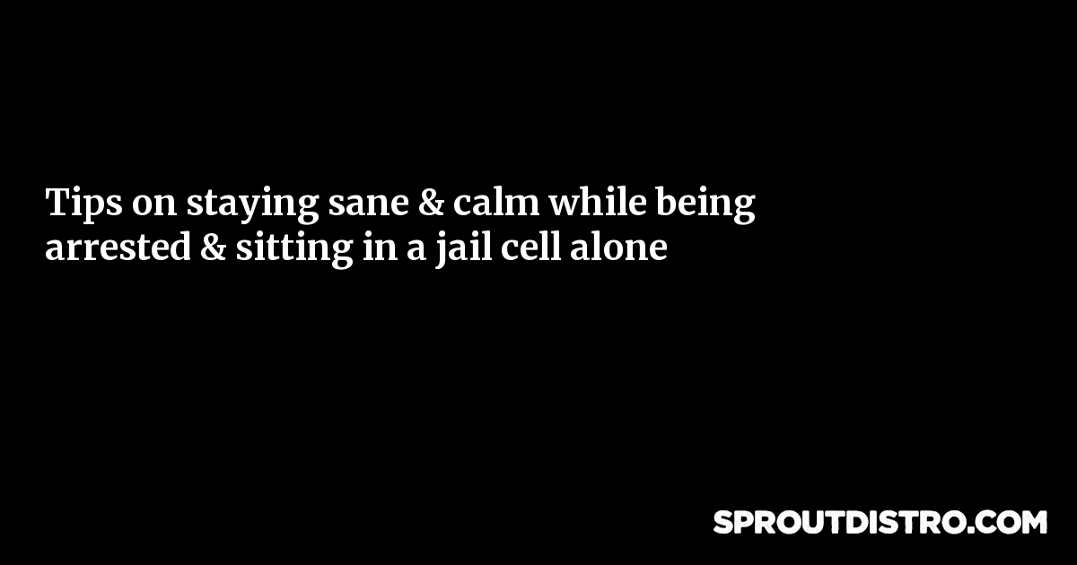Tips on staying sane & calm while being arrested & sitting in a jail ...