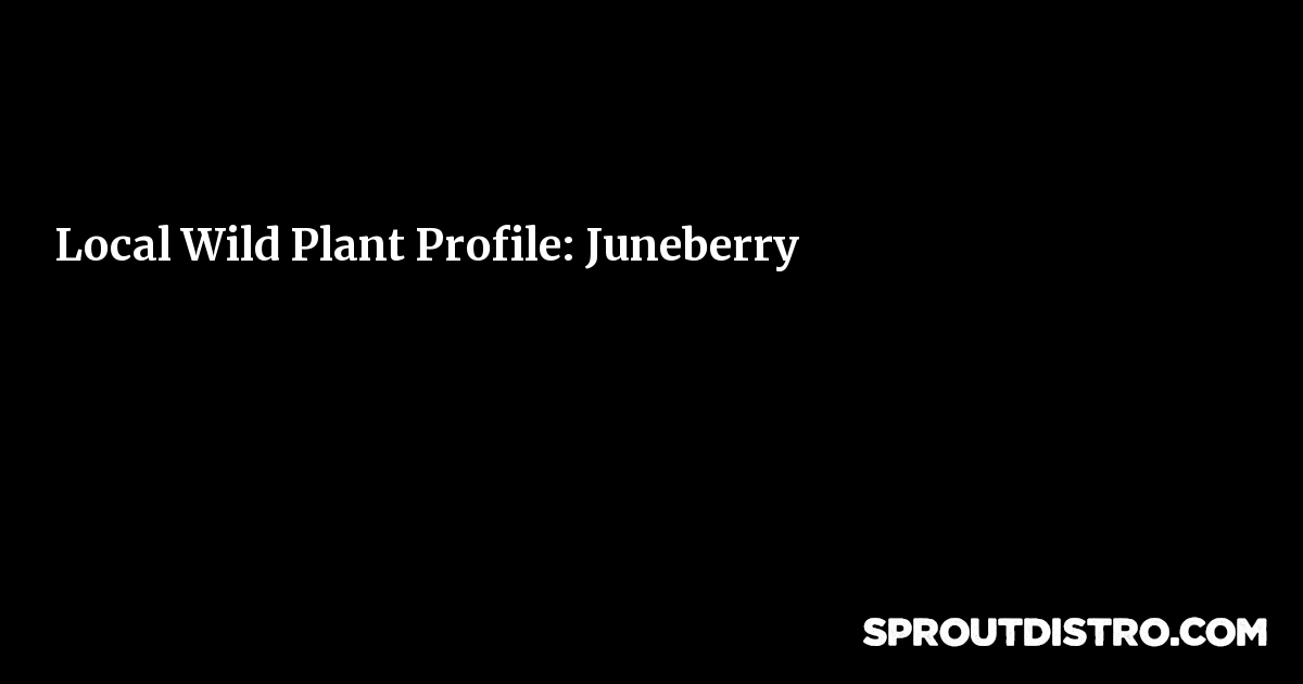 Local Wild Plant Profile: Juneberry | Sprout Distro